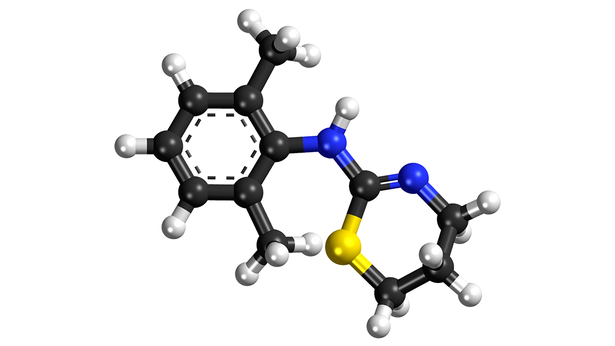 Facts About Xylazine Without the Stigma